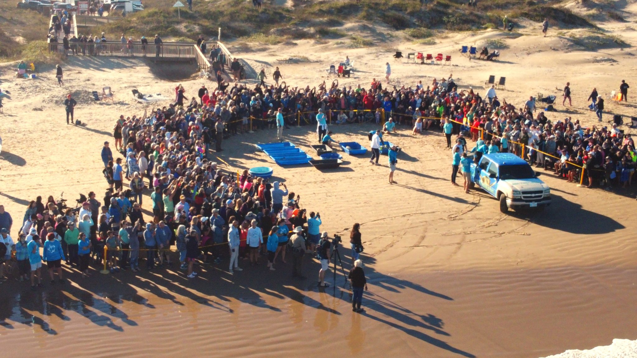Sea Turtle Inc. Releases 77 Turtles – Port Isabel-South Padre Press